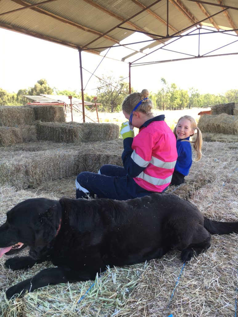 Gallery - Eden Farm Produce