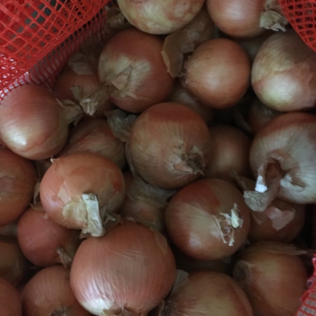 Vegetables - Eden Farm Produce Organic & Biodynamic Vegetables