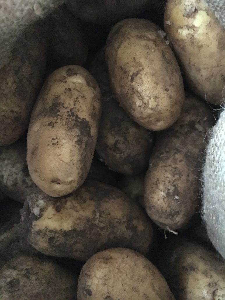 Potatoes - Dutch Cream per kg - Eden Farm Produce