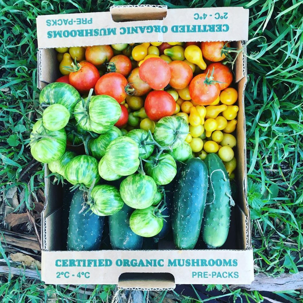 Products Archive - Eden Farm Produce