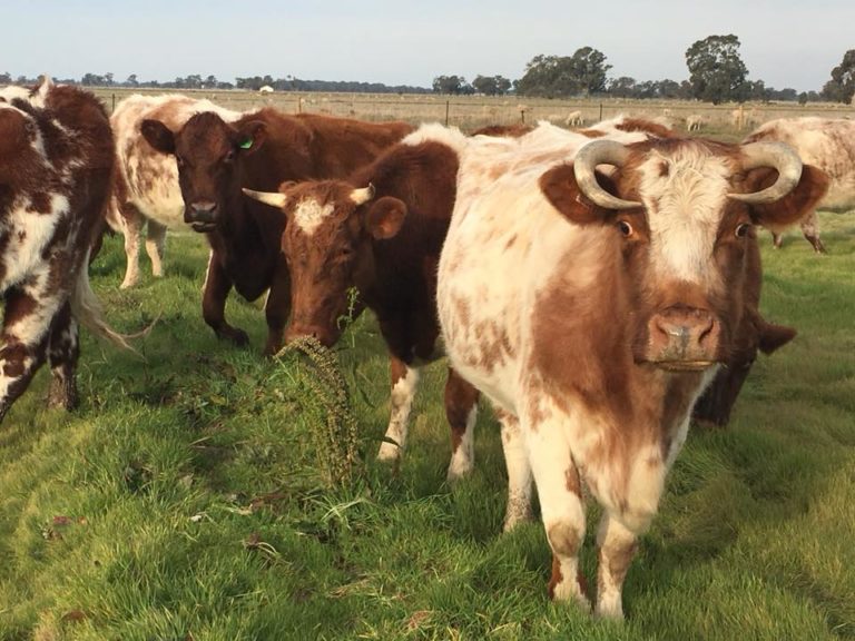 Home - Eden Farm Produce